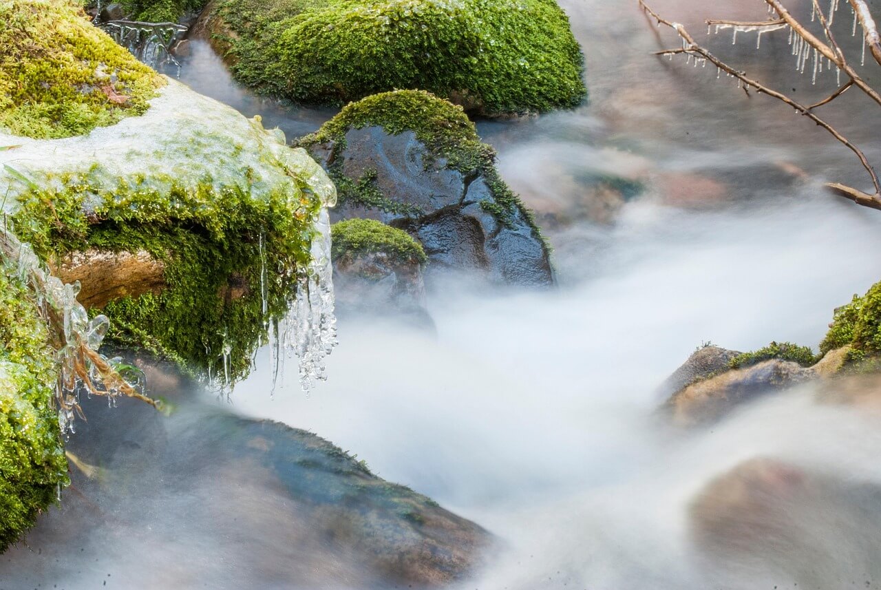 How the Transition from Winter to Spring Affects Your Mental Health ...